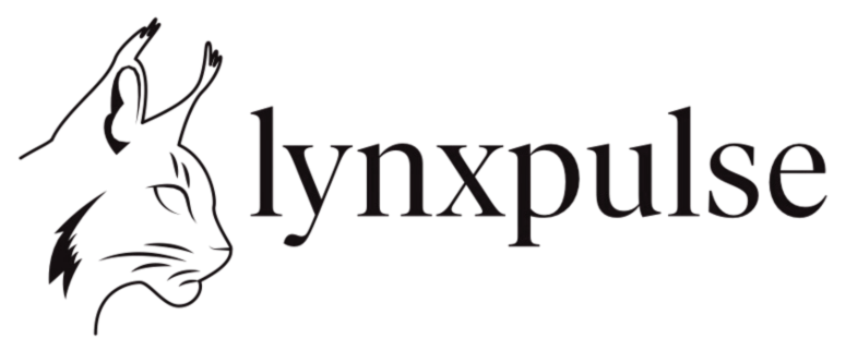 LynxPulse - AI-First Technology Solutions | Video Intelligence, RAG ...